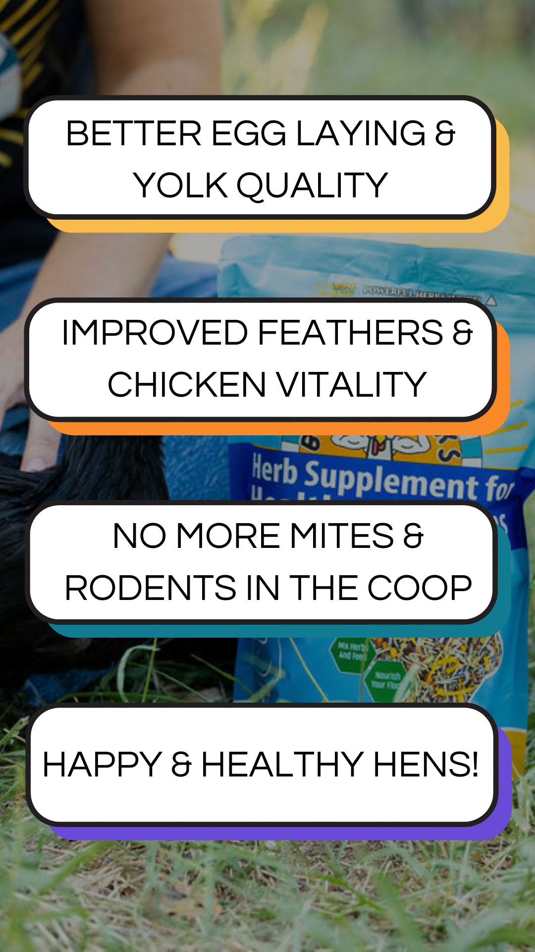 Buff Clucks Free Gift