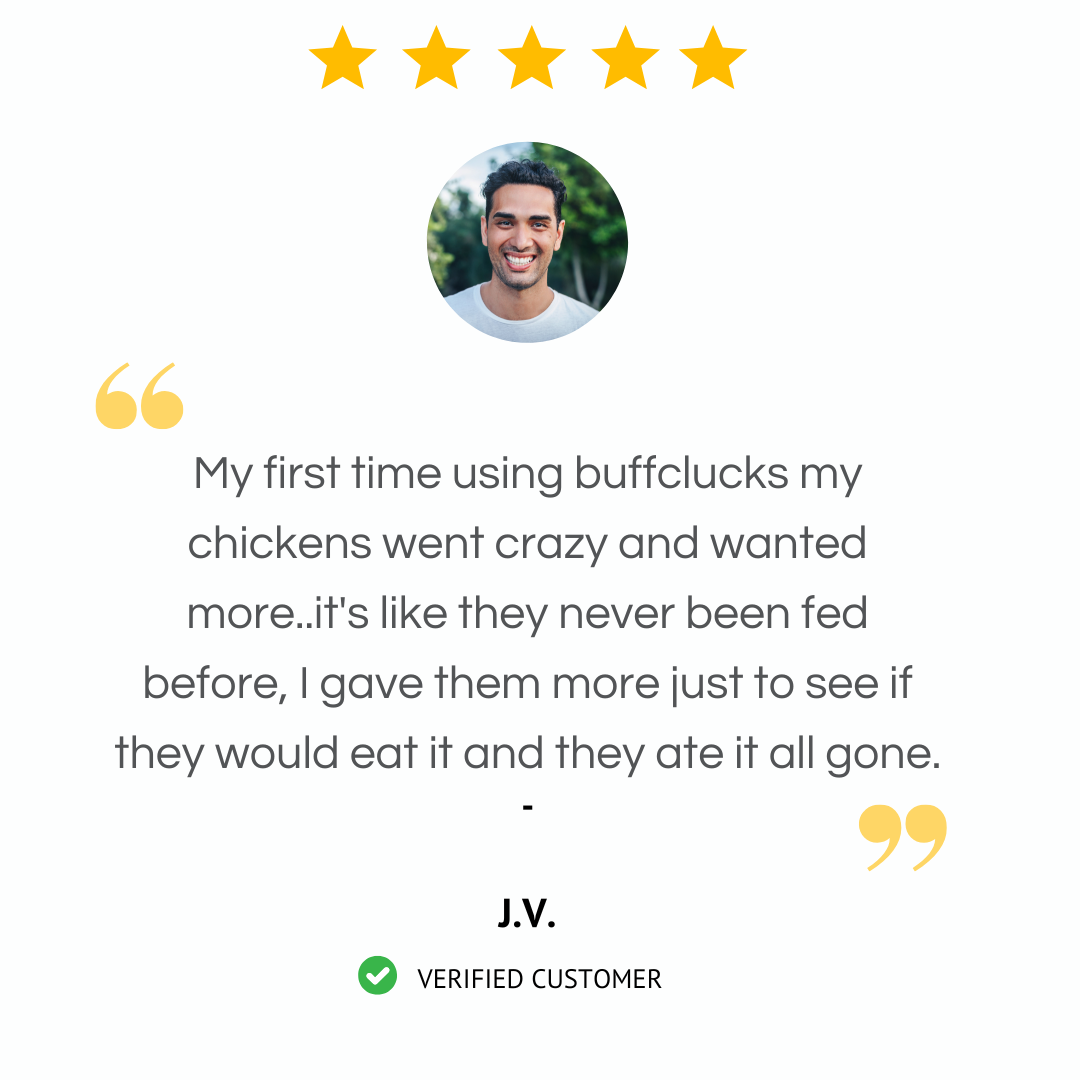 Buff Clucks Free Gift