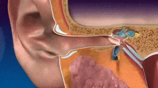 Breaking News | Read More...